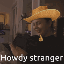 Cowgirl Filter Howdy Stranger GIF | GIFDB.com