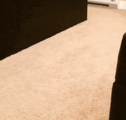 Crawling Belt Stop Motion Animation GIF | GIFDB.com