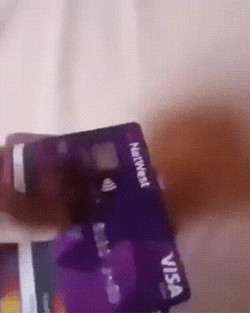 Tossing Credit Cards On Bed GIF | GIFDB.com