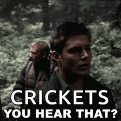 Crickets Chirping Jensen Ackles You Hear That GIF | GIFDB.com