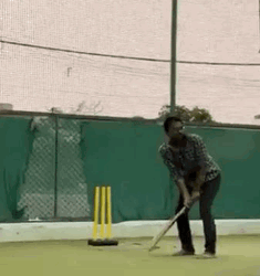 Crickets Meme Gully Cricket GIF | GIFDB.com
