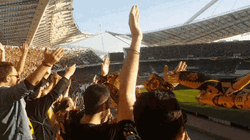 Crowd Cheering And Clapping Support GIF | GIFDB.com