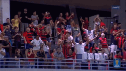 Crowd Cheering Waving And Jumping GIF | GIFDB.com