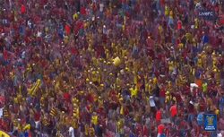 Sport Vs Vitoria Crowd Cheering GIF | GIFDB.com