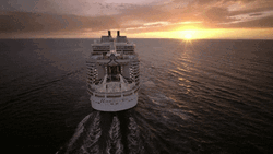 Cruising On The Ocean Pto Day GIF | GIFDB.com