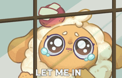 Crying At The Window Let Me In Meme GIF | GIFDB.com
