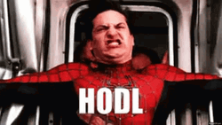 Crypto Hold Spider Man GIF | GIFDB.com