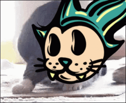 Shaq Cat GIFs | GIFDB.com