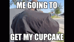 Cupcake 498 X 280 Gif GIF | GIFDB.com