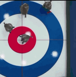 Curling 494 X 498 Gif GIF | GIFDB.com
