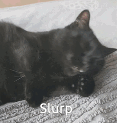 Cute Black Cat Slurp GIF | GIFDB.com