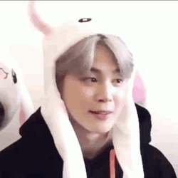Bts Park Jimin Cat Filter GIF | GIFDB.com