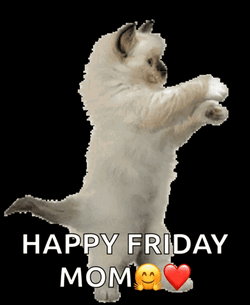 Cute Cat Happy Friday Meme GIF | GIFDB.com