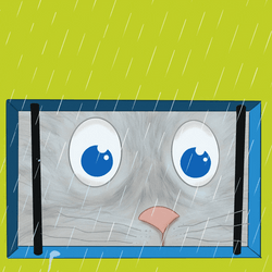 Cute Cat Watching Rain Animated GIF | GIFDB.com