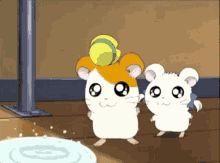 Poor Little Hamster Hurt Head Hamtaro Anime GIF | GIFDB.com