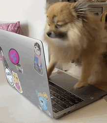 Hands Doing Fast Typing GIF | GIFDB.com