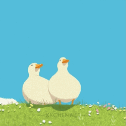 Cute Duck Couple Date GIF | GIFDB.com