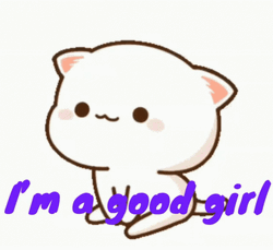 Cute Girly Good Cat GIF | GIFDB.com