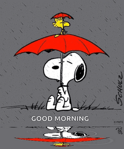 Cute Good Morning Wednesday Snoopy GIF | GIFDB.com