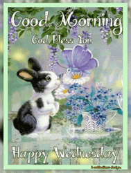 Cute Happy Wednesday Bunny GIF | GIFDB.com