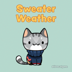 Cute Kitten Wearing Sweater Weather GIF | GIFDB.com