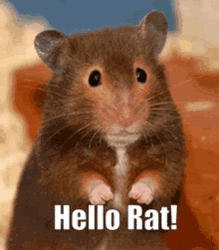 Cute Rat Waving Hello GIF | GIFDB.com