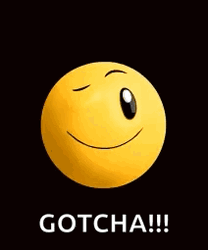 Cute Smiley Face Winking Gotcha GIF | GIFDB.com