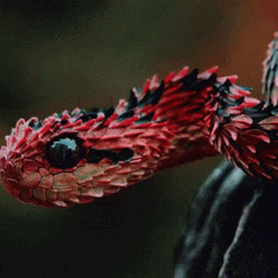Cute Snake Head Changing Colors GIF | GIFDB.com