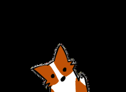 Cute Wave Small Fox GIF | GIFDB.com