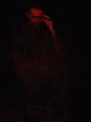 Cyber Night Vision Goggles GIF | GIFDB.com