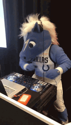 Dallas Mavericks Mascot Champ GIF | GIFDB.com
