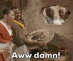 Damn Damn Damn Martin Lawrence Movie Clip GIF | GIFDB.com