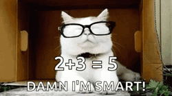 Damn Im Smart White Cat GIF | GIFDB.com