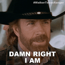 Damn Right Chuck Norris GIF | GIFDB.com