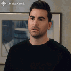 Dan Levy It's My Birthday GIF | GIFDB.com
