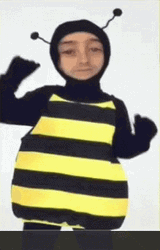 Dancing Bee Snapchat Meme GIF | GIFDB.com