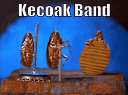 Dancing Cockroach Music Band GIF | GIFDB.com