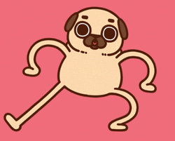 Puglie Dancing Pug GIF | GIFDB.com