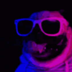 Dancing Pug Dog In The Dark Wearing Shades GIF | GIFDB.com