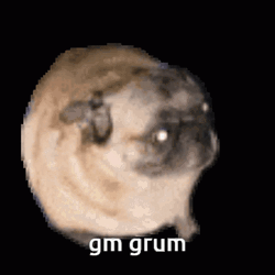 Dancing Pug Grum GIF | GIFDB.com