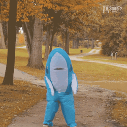 Dancing Shark GIFs | GIFDB.com