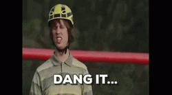 Dang It Upset The Benchwarmers GIF | GIFDB.com