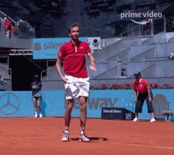 Daniil Medvedev Backhand Playing Pickleball Meme GIF | GIFDB.com