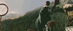 Deal With It Harry Potter Quidditch GIF | GIFDB.com