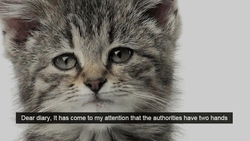 Dear Diary Sad Cat Attention Entry GIF | GIFDB.com