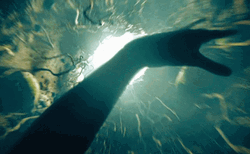 Deep Thrill Rabbit Hole GIF | GIFDB.com