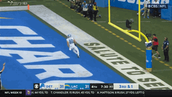 Detroit Lions Brock Wright Touchdown Win GIF | GIFDB.com