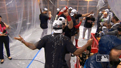 Devers Beer Shower GIF | GIFDB.com