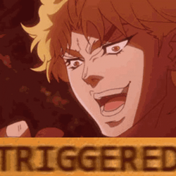 Triggered Reaction Of Dio GIF | GIFDB.com