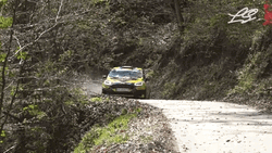 Dirt Rally World Championship Ford Focus Wrc Car GIF | GIFDB.com